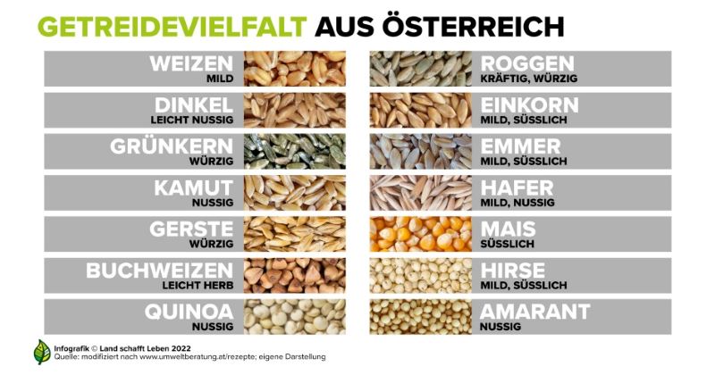 Das Getreide und Mehl (Grundstufe 2) – Landwissen