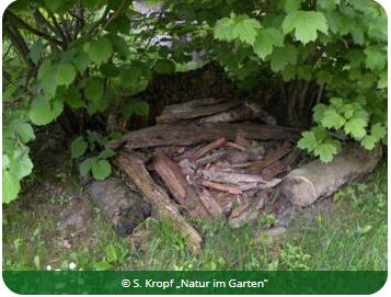 Lernen im Garten: TOTHOLZHAUFEN ANLEGEN – Landwissen